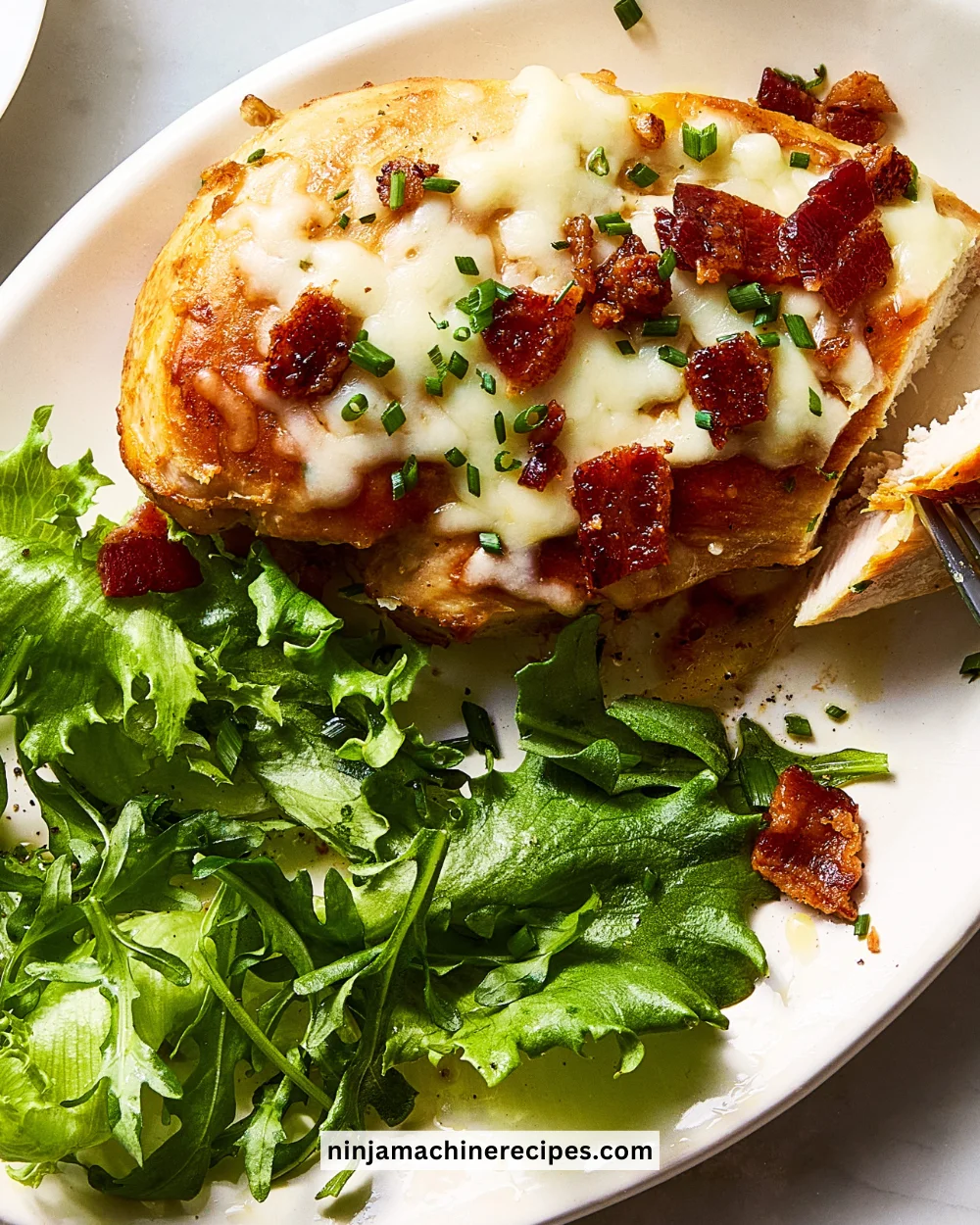 Cheesy Bacon Ranch Chicken - Ninja Machine Recipes