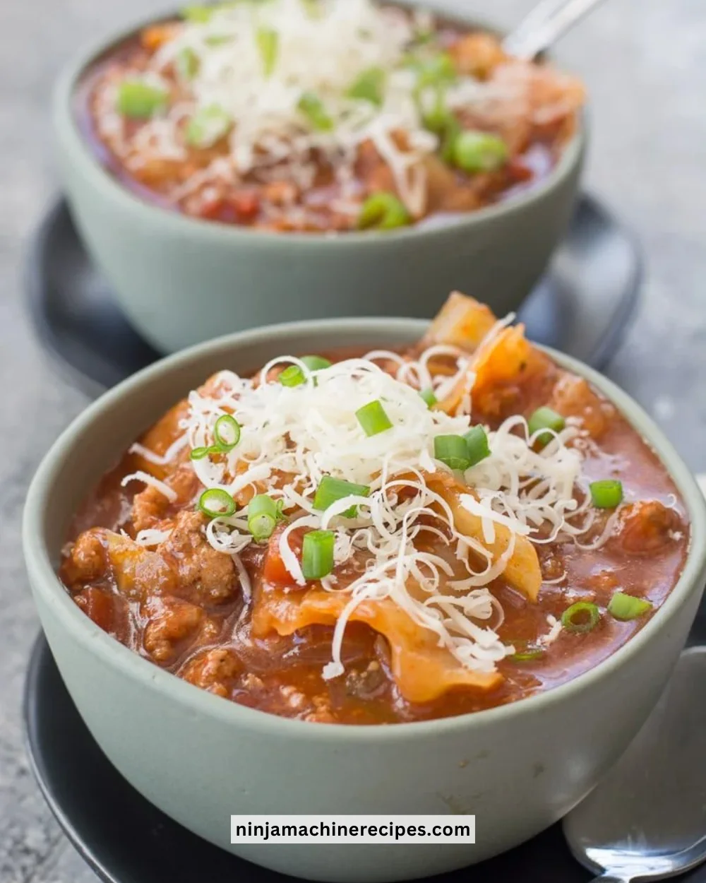 Keto Cabbage and Beef Soup - Ninja Machine Recipes