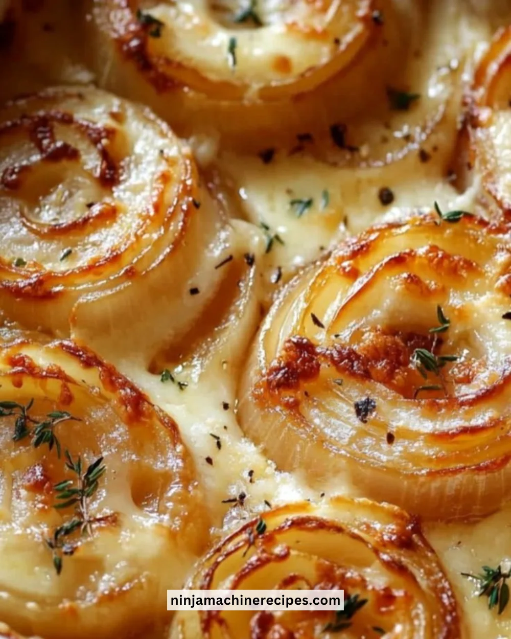 Tennessee Onions - Ninja Machine Recipes